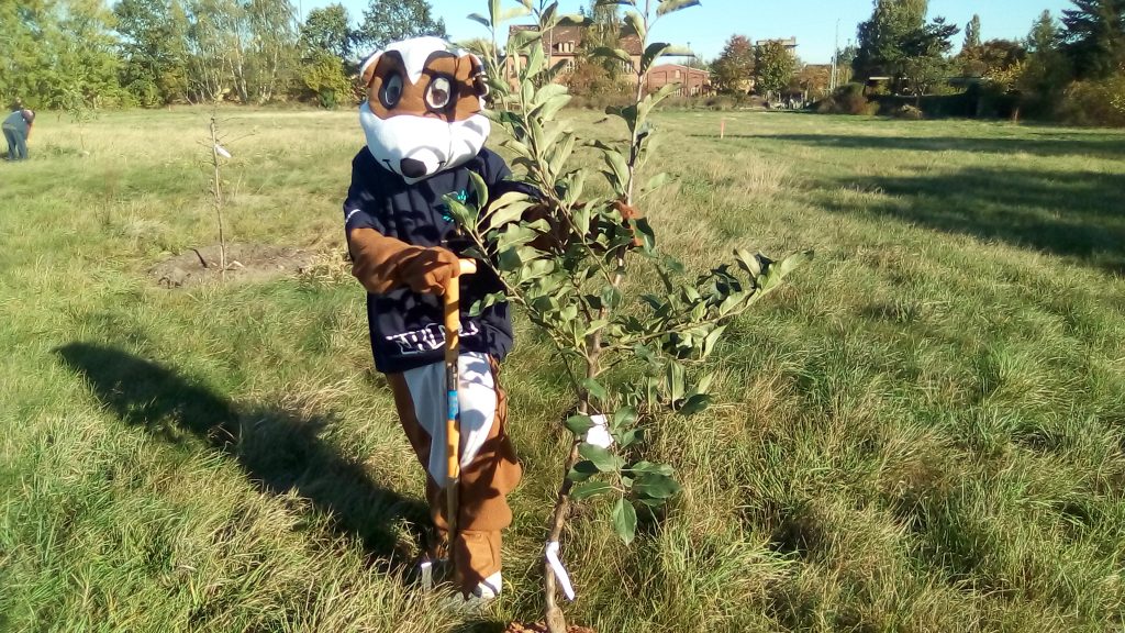 10.000 Bäume für die Lausitz – Erster Baum gepflanzt – Maskottchen Erdi